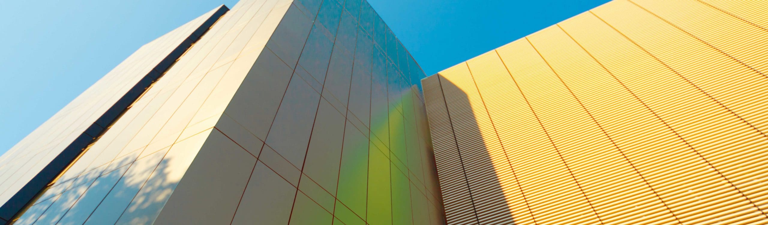 Services | Beale & Co